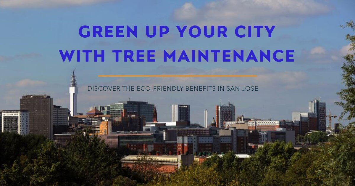 Eco-Friendly Benefits of Tree Maintenance in San Jose