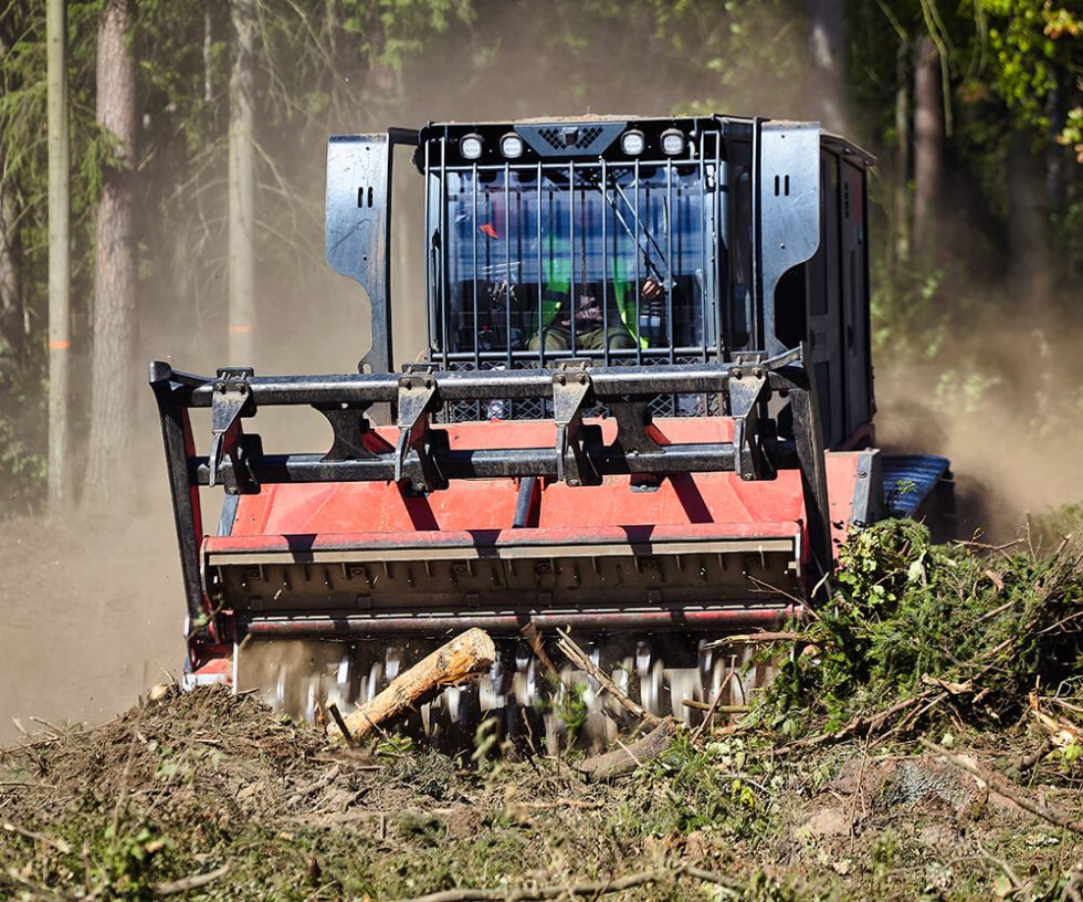 Arborist Videos| Call Us at 408-836-9147 | Bay Area Tree Specialists