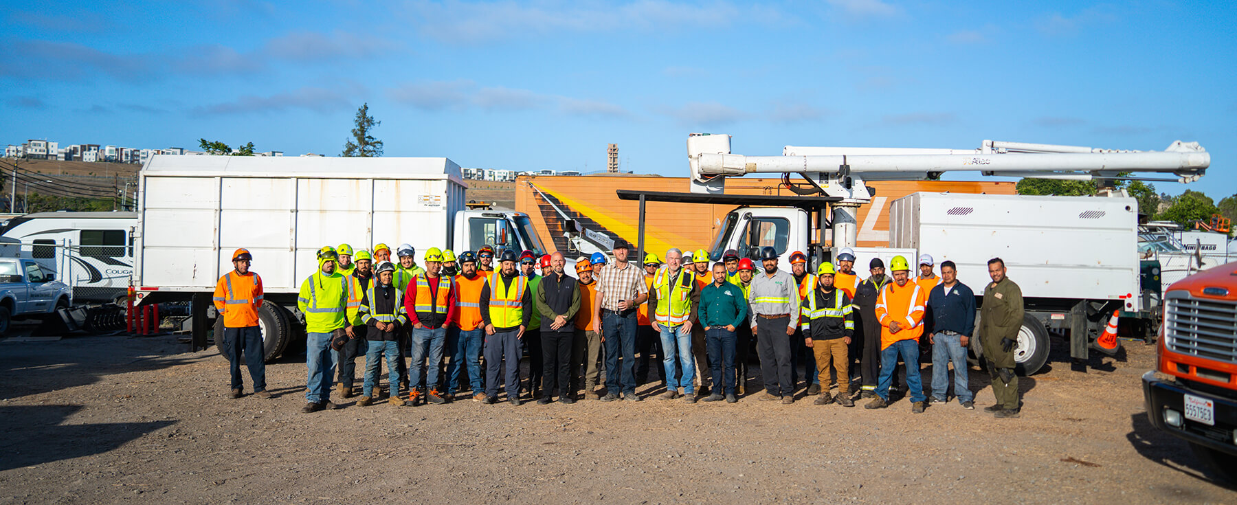 Trained & Certified Arborist in Palo Alto | Bay Area Tree Specialists ...