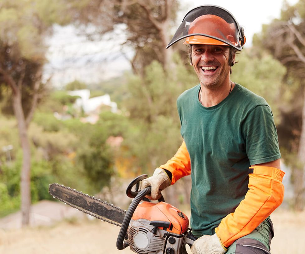 Trained & Certified Arborist in Palo Alto | Bay Area Tree Specialists ...