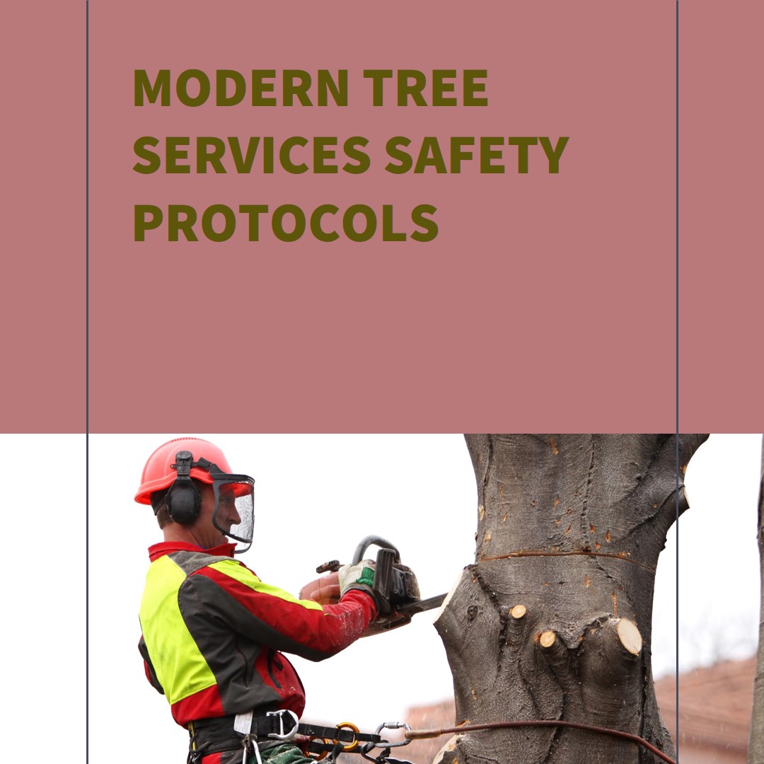 Bay Area Tree Service & Removal San Jose CA | Palo Alto CA | Bay Area ...