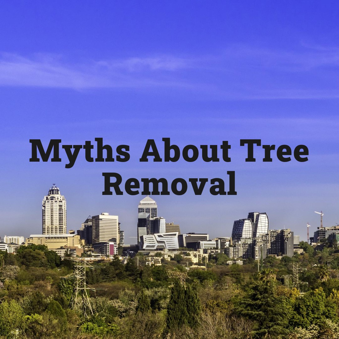 Bay Area Tree Service & Removal San Jose CA | Palo Alto CA | Bay Area ...
