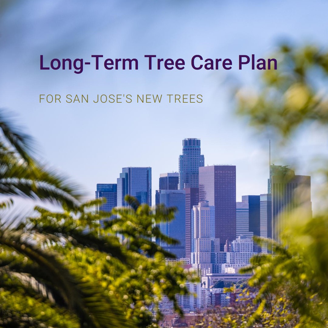 Developing a Long-Term Tree Care Plan for San Jose's New Trees